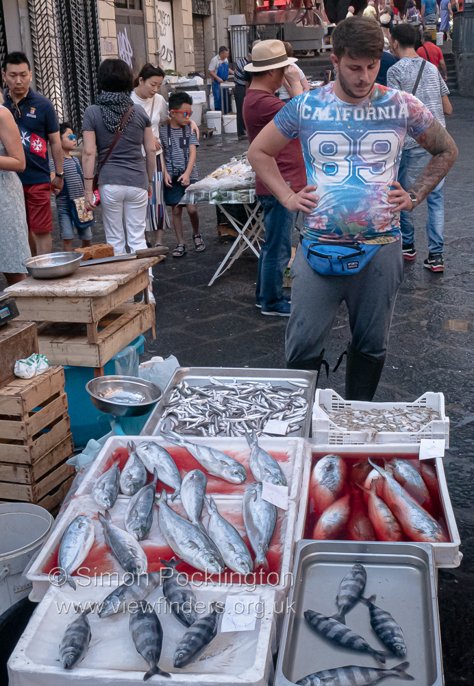 Catania Fish Market Sicily - Photography & Creative Writing